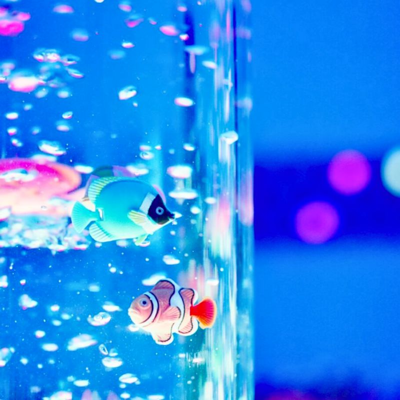 Bubble Tube 105cm (comes with fish)